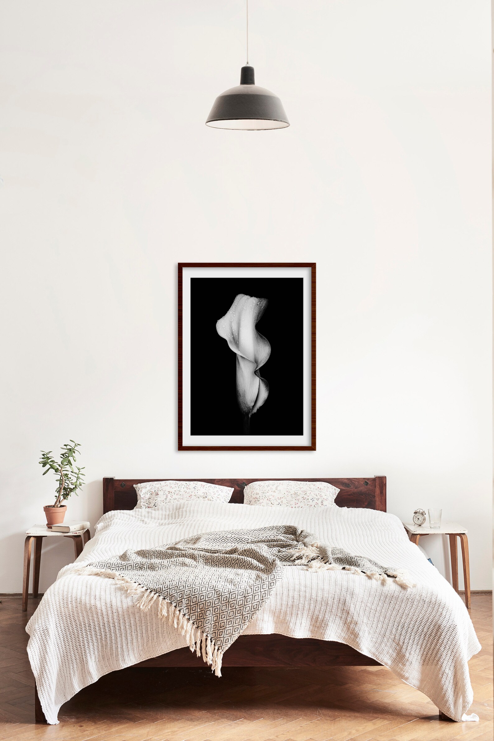 Calla Lily in Dew Fine Art Black and White Flower | Etsy