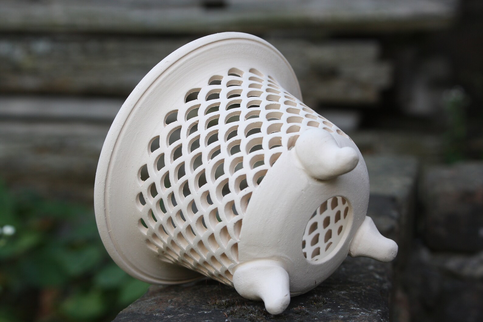 Furan Orchid Pot Fu Ran Pot Neofinetia Pot Fukiran Furan Pot - Etsy