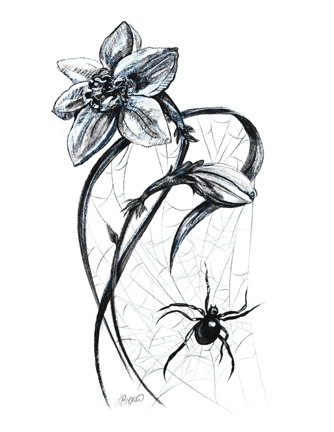 Daffodil and Spider Print - Etsy