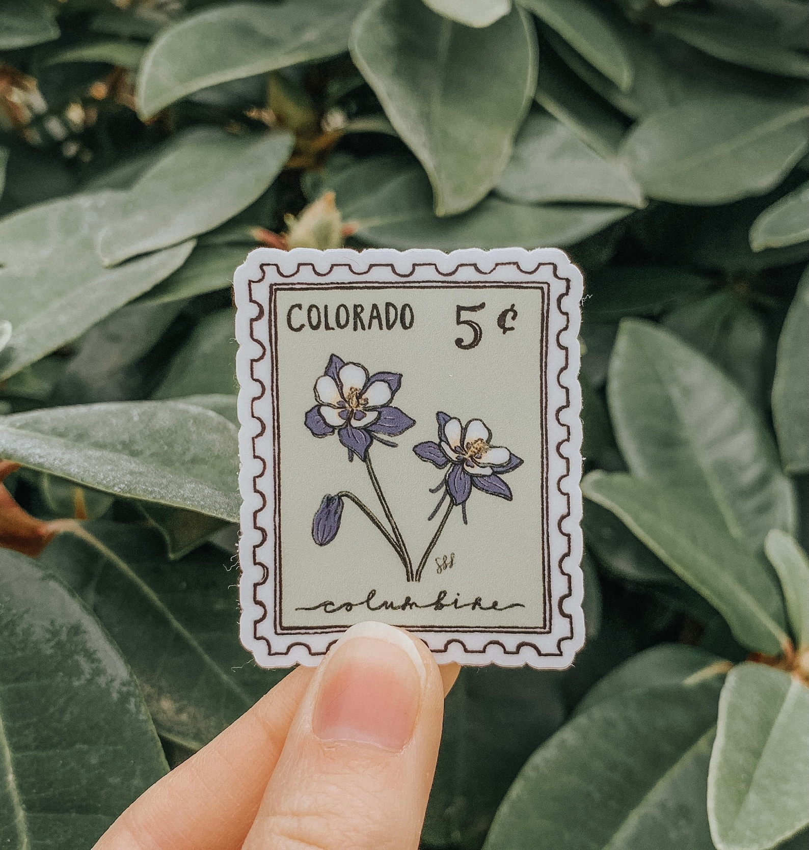 Colorado Stamp Sticker 2in - Etsy