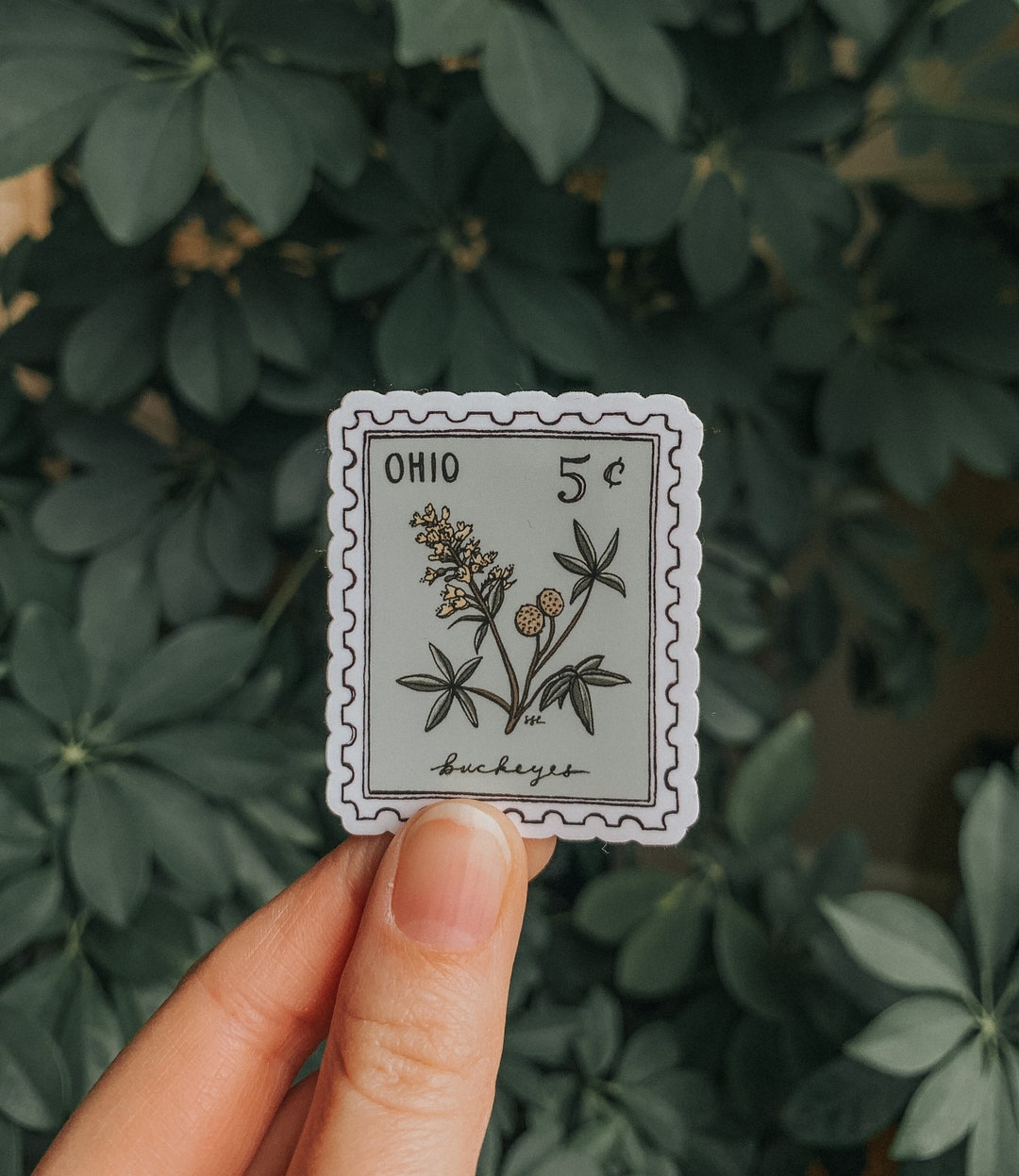 Ohio Stamp Sticker (2in) - Etsy