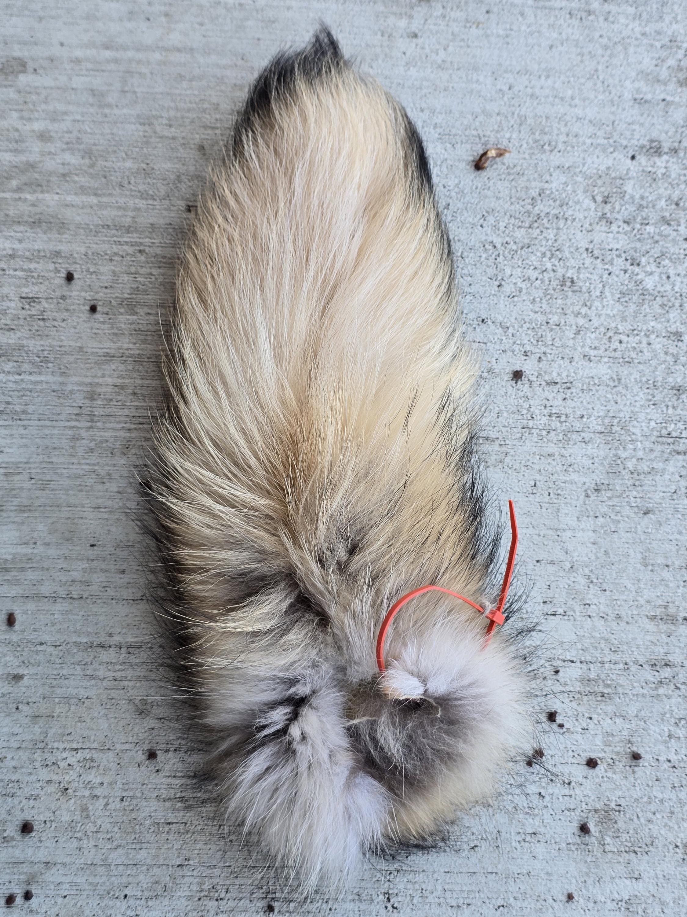 Tanuki Tail - Etsy