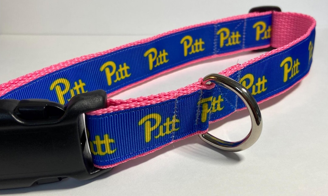 NEW Pink 1" Pitt, University of Pittsburgh Dog Collar, NCAA, Panthers ...