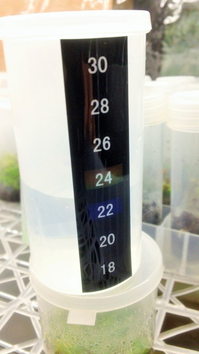 Microclone Plant Tissue Culture Seed Starting Kit-germinate Valuable ...