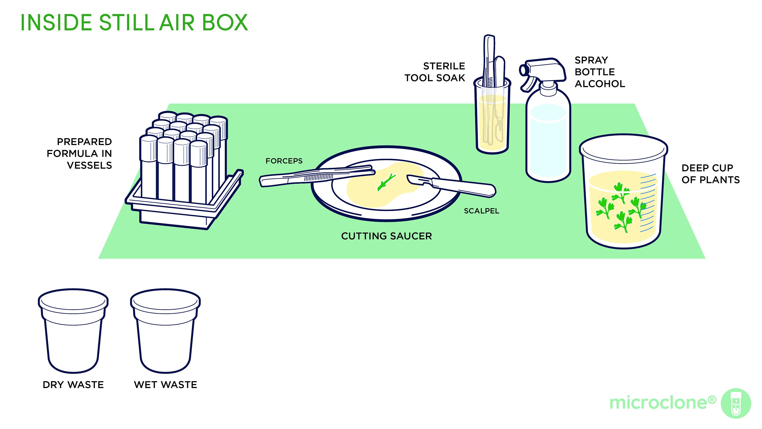 Microclone Advanced Tissue Culture Kit - Etsy