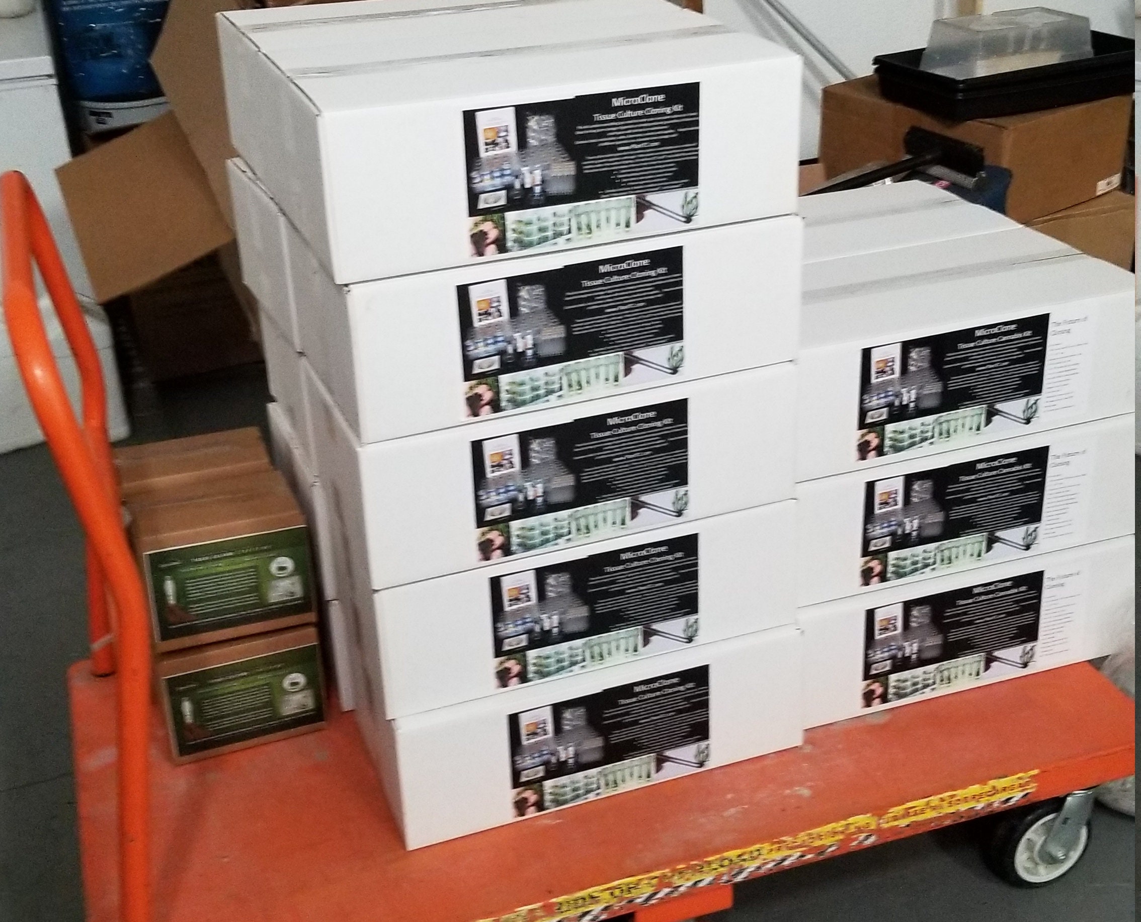 Microclone Cannabis Tissue Culture Kit Cloning Storage Clean ...