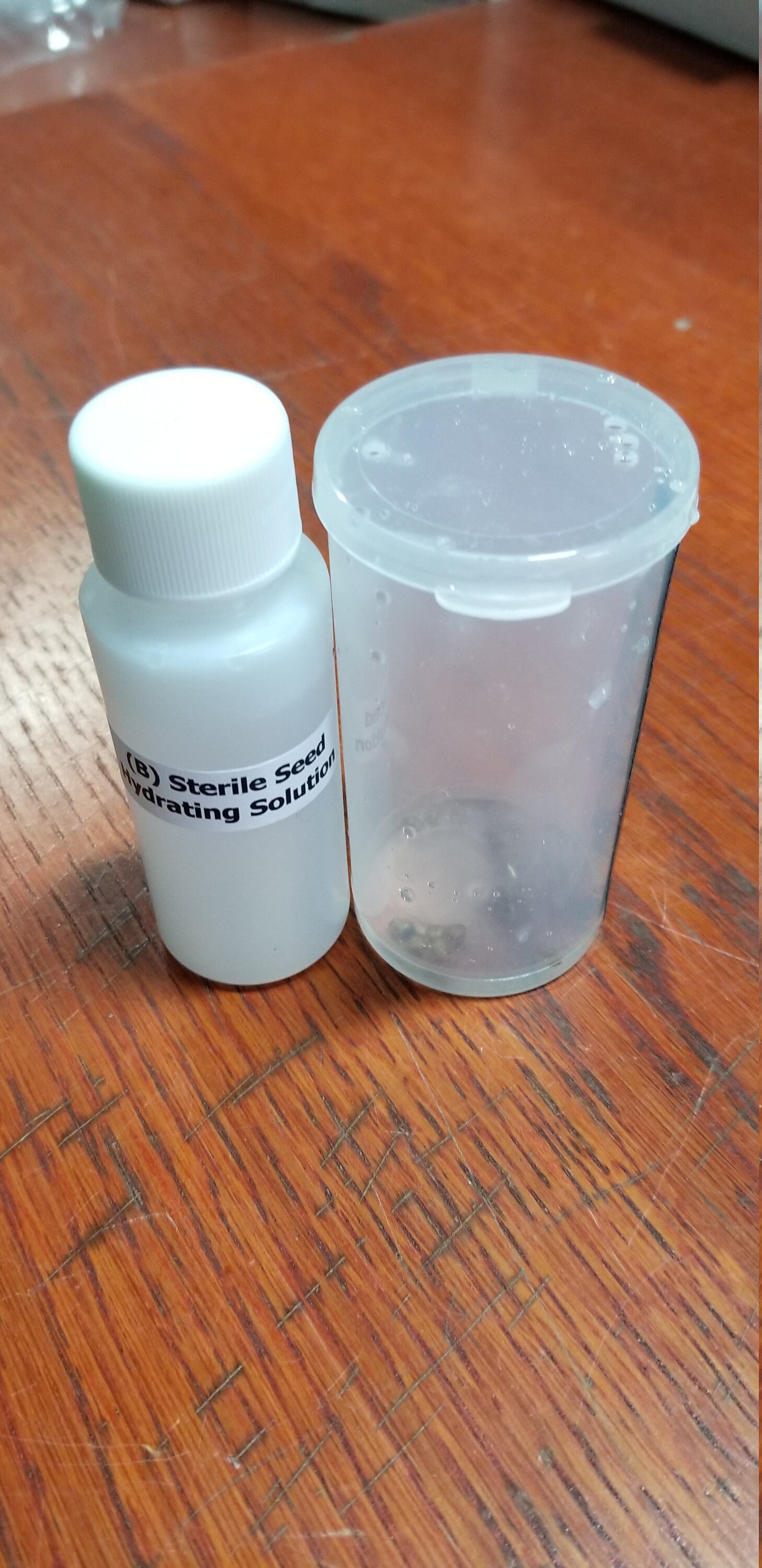 Microclone Plant Tissue Culture Seed Starting Kit-germinate Valuable ...