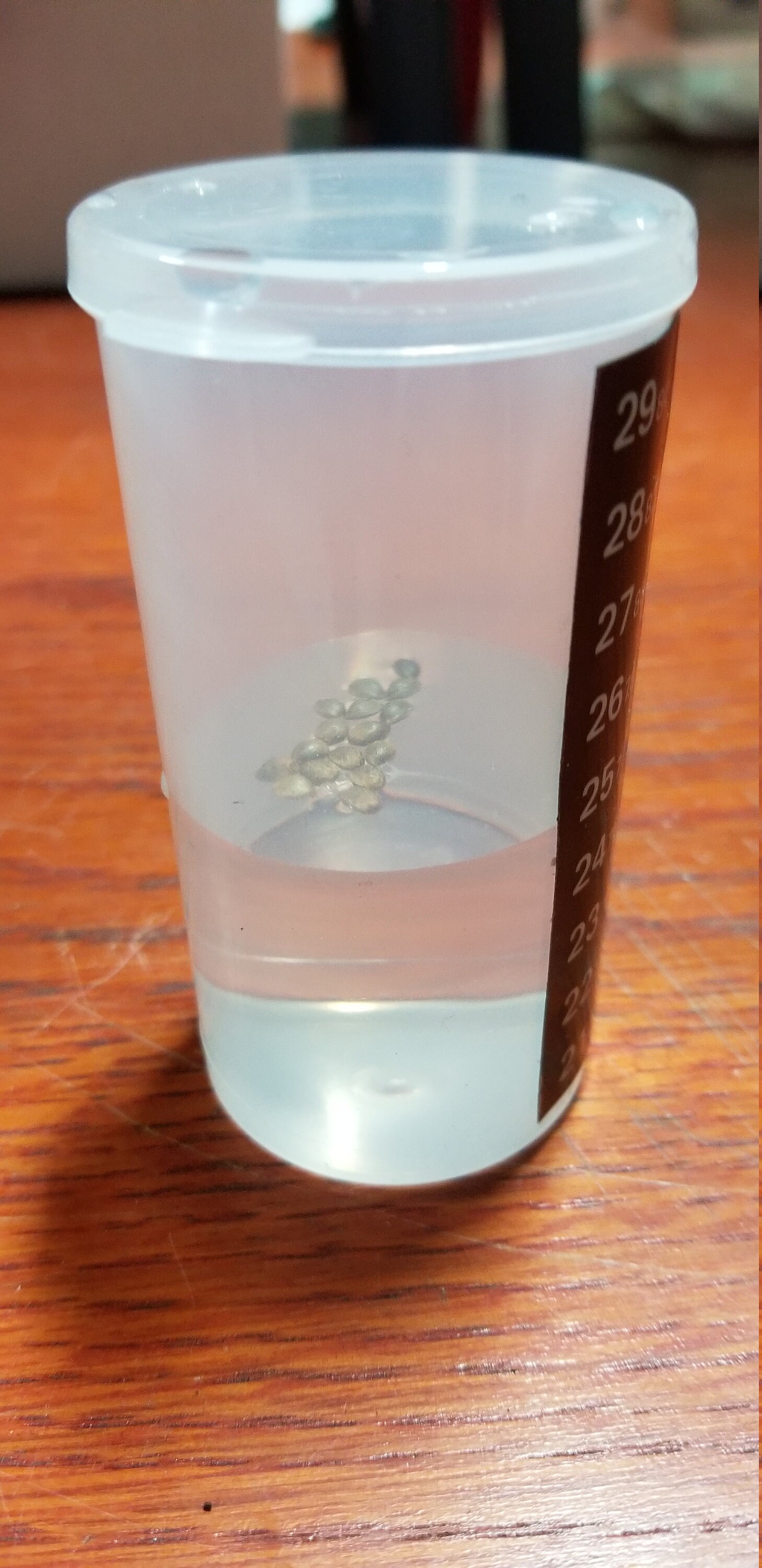 Microclone Plant Tissue Culture Seed Starting Kit-germinate Valuable ...