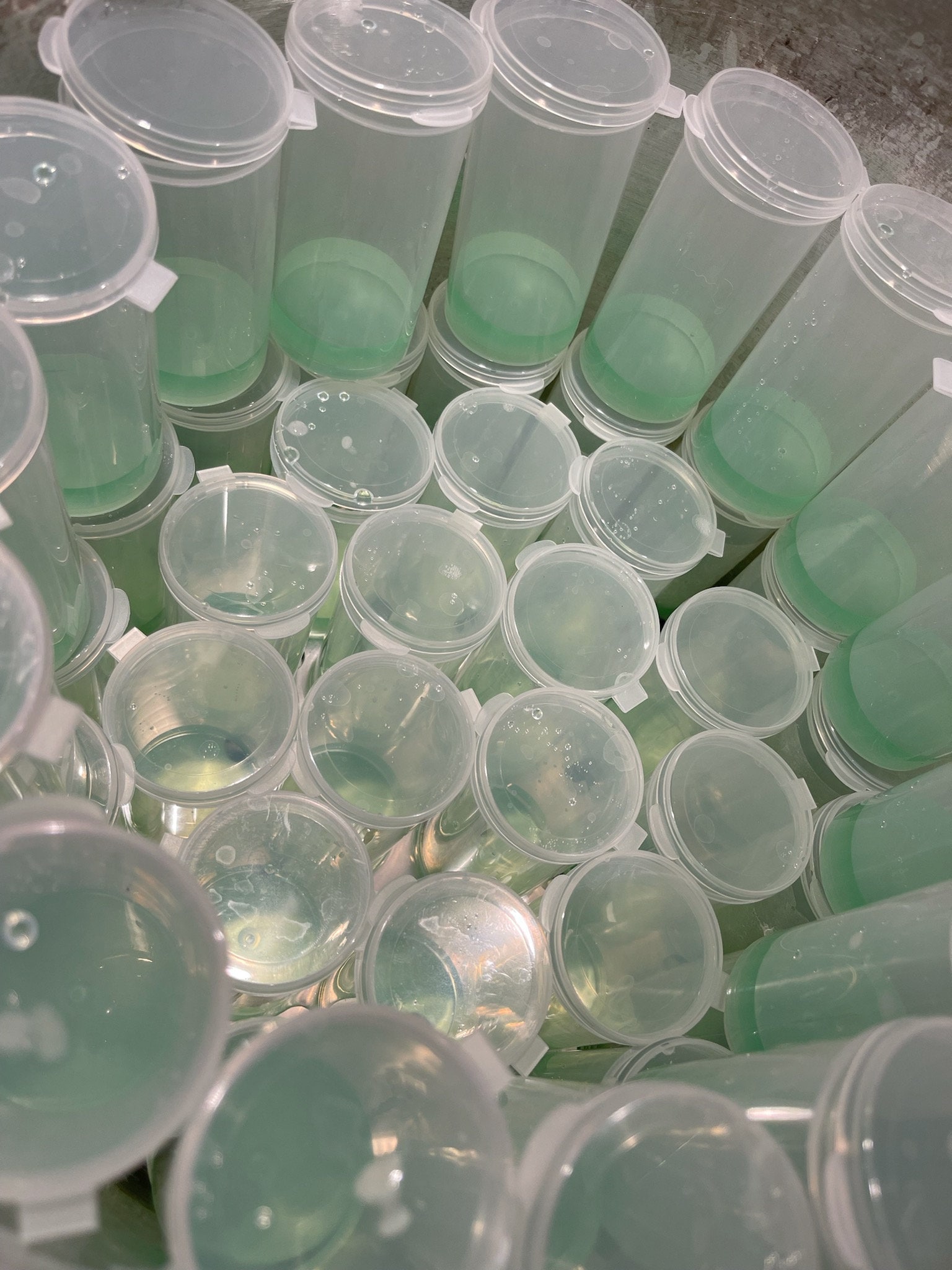 Multkit-mt Tissue Culture Multiplication Media - Etsy
