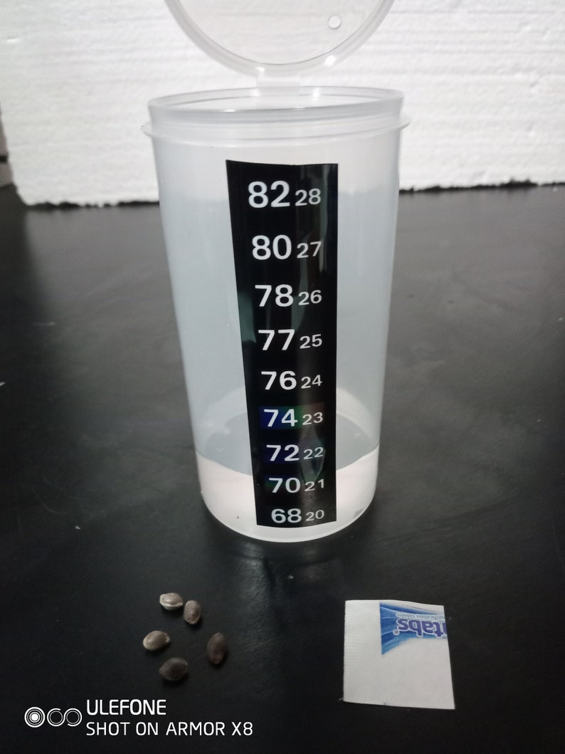 Microclone Seed Starter Germinating Kit Tissue Culture Technique - Etsy