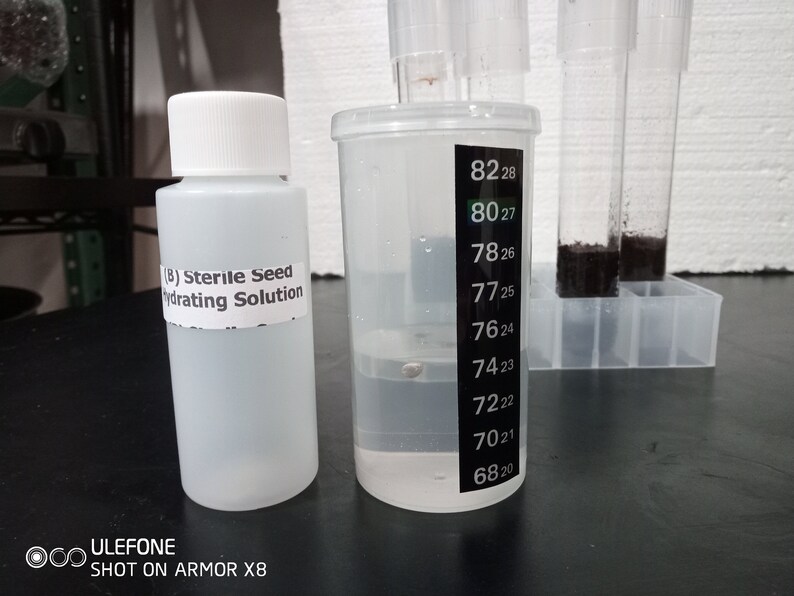 Microclone Seed Starter Germinating Kit Tissue Culture Technique - Etsy