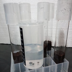 Microclone Seed Starter Germinating Kit Tissue Culture Technique - Etsy