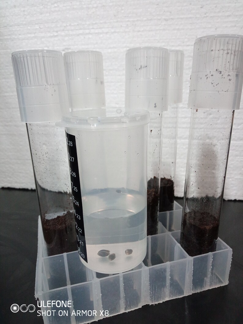 Microclone Seed Starter Germinating Kit Tissue Culture Technique - Etsy