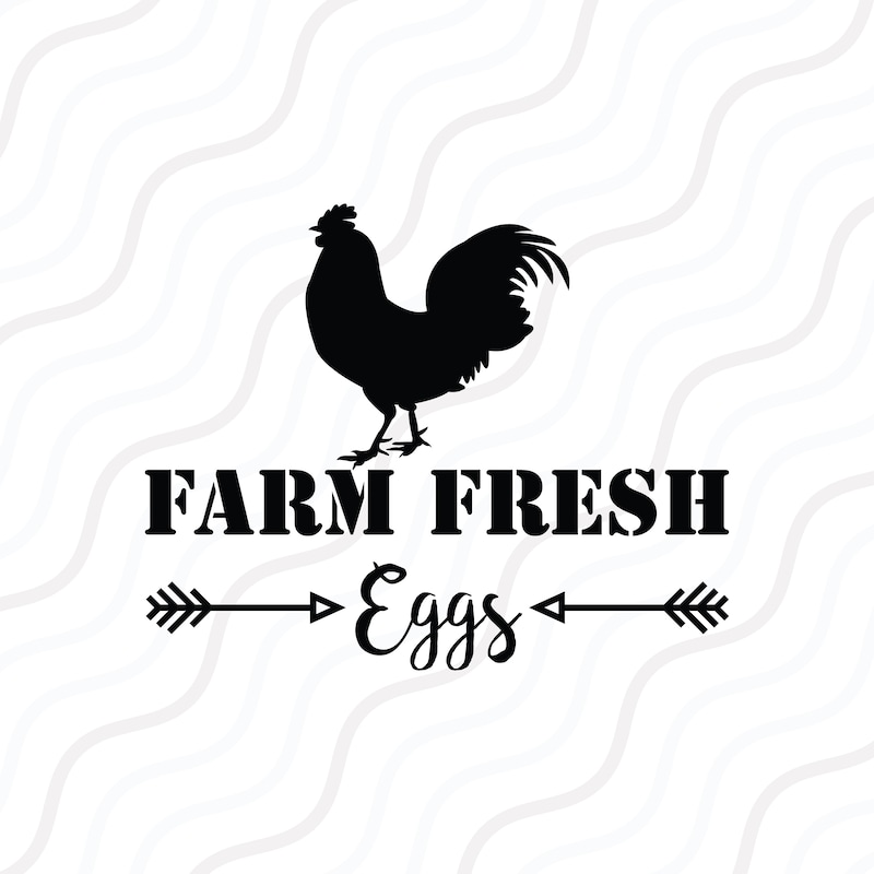 Fresh Eggs Svg - Etsy