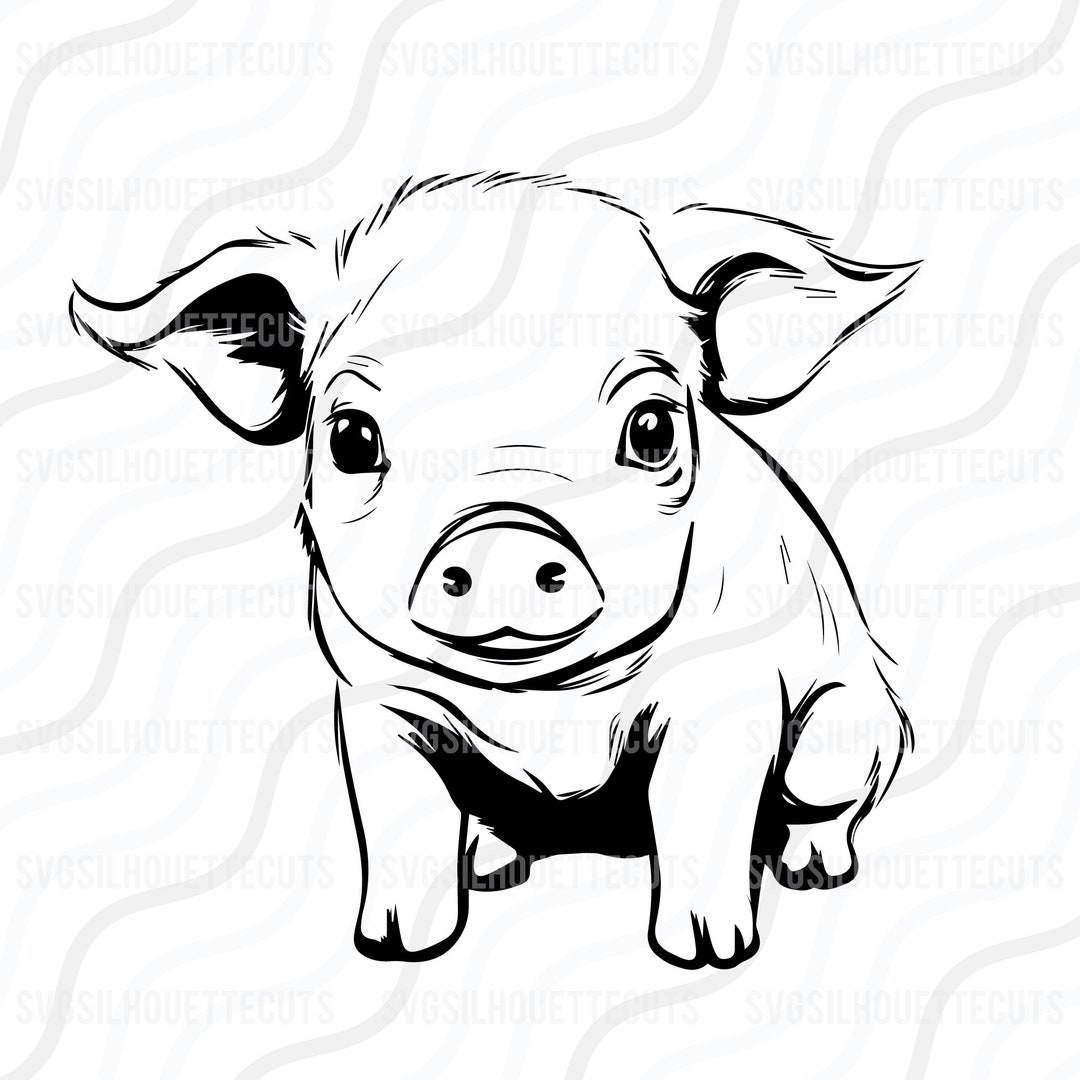 Baby Pig SVG, Pig SVG, Cute Pig SVG Cut Table Design,svg,dxf,png Use ...