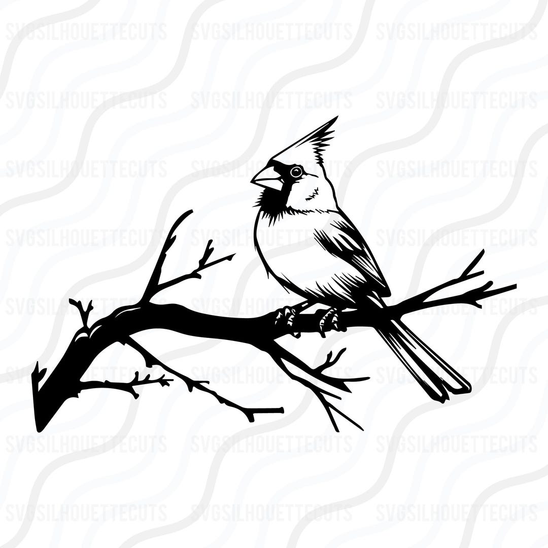 Cardinal Bird SVG, Red Cardinal SVG, Bird SVG Cut Table Design,svg,dxf ...