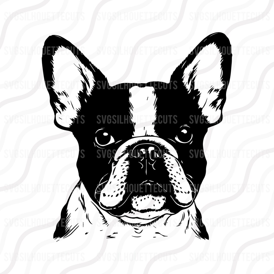 French Bulldog Dog, French Bulldog Silhouette SVG Cut Table Design, Svg ...