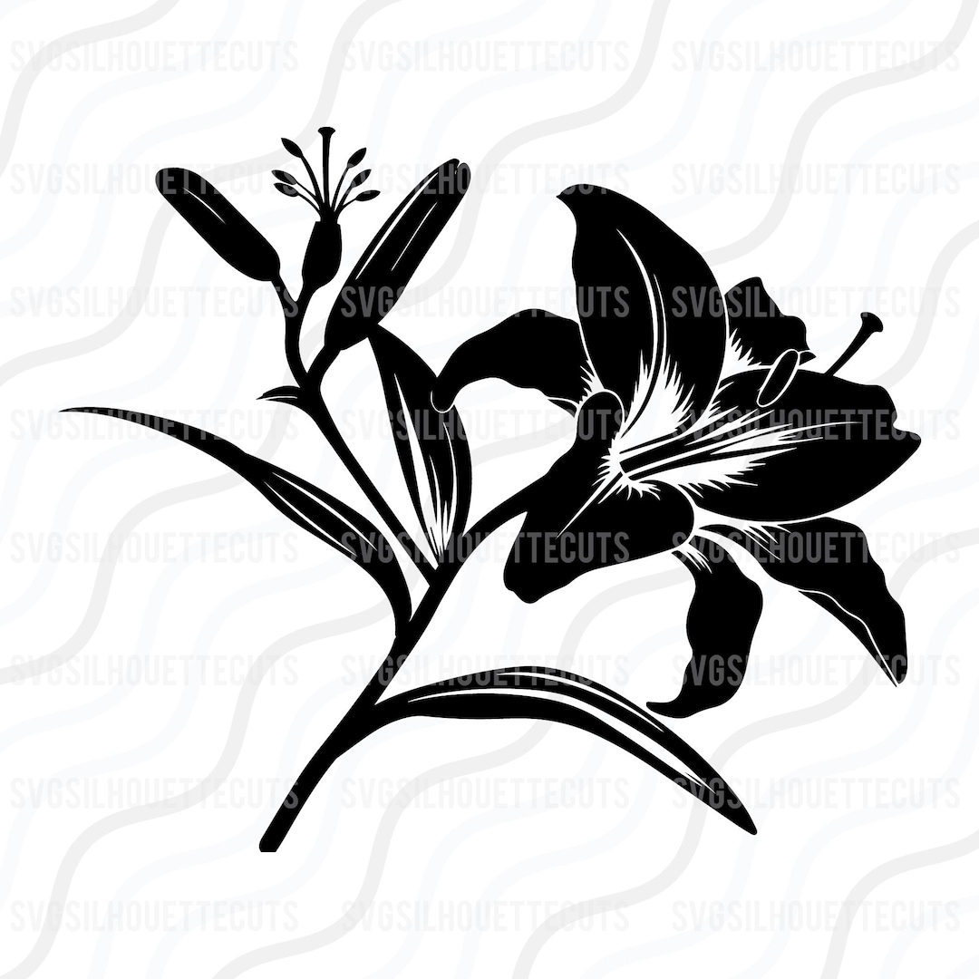 Lily Flower SVG, Lily Silhouette SVG, Floral Svg, Lily SVG Cut Table ...