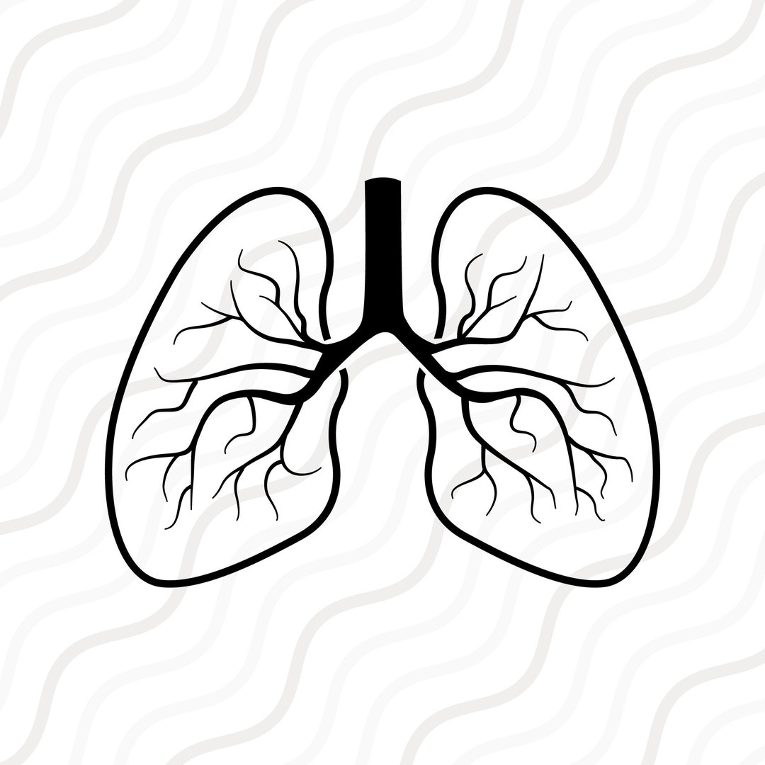 Lungs SVG, Human Lungs SVG, Respiratory Therapist SVG Cut Table Design ...