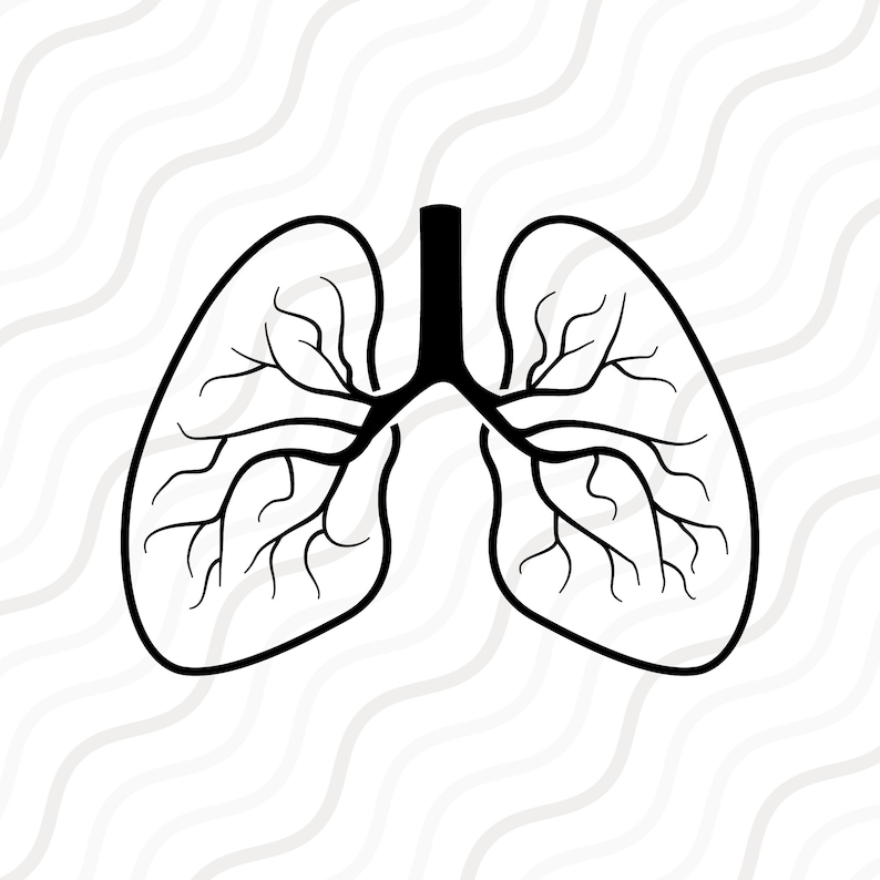 Lungs SVG Human Lungs SVG Respiratory Therapist SVG Cut - Etsy