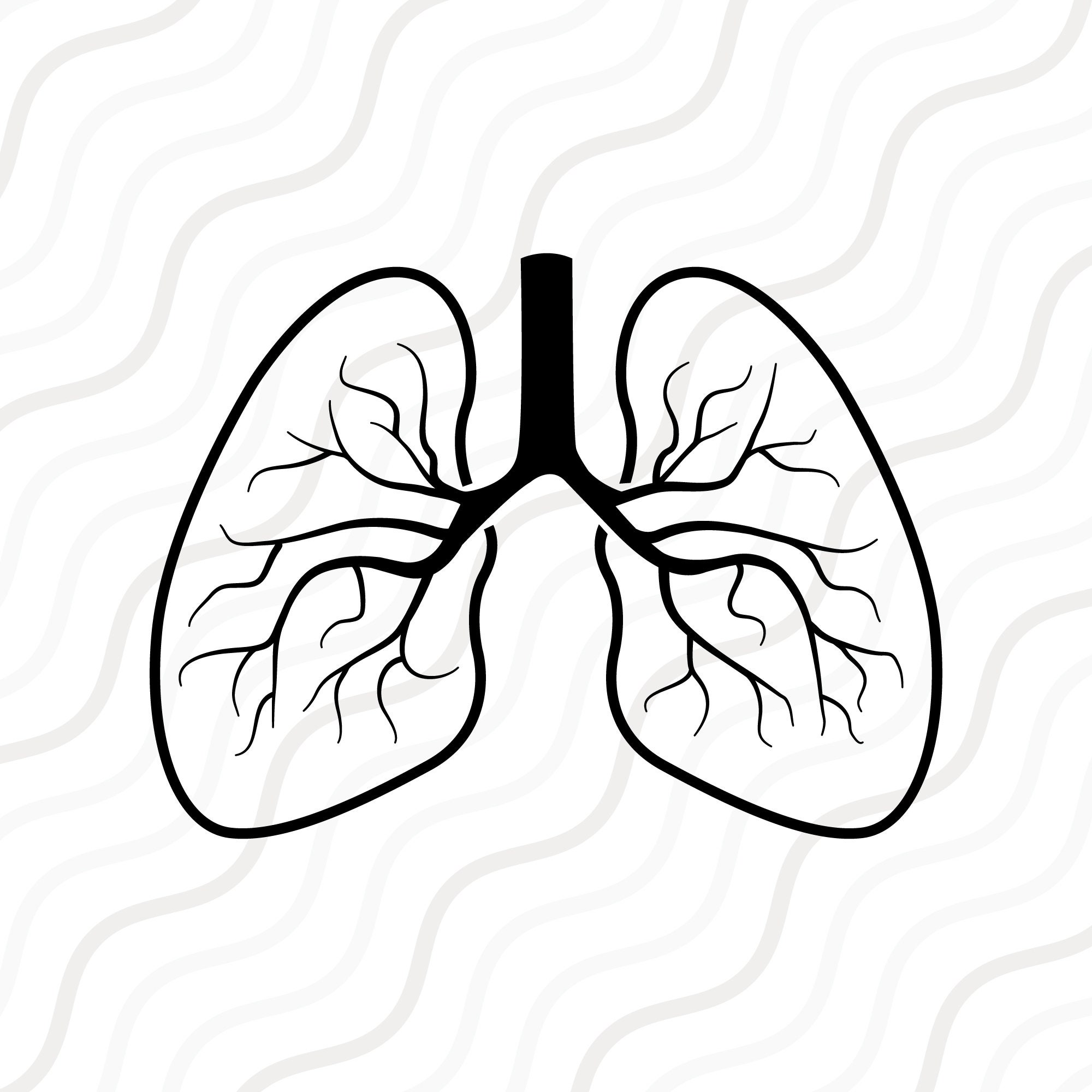 Pulmones SVG Pulmones humanos SVG Terapeuta respiratorio SVG - Etsy España