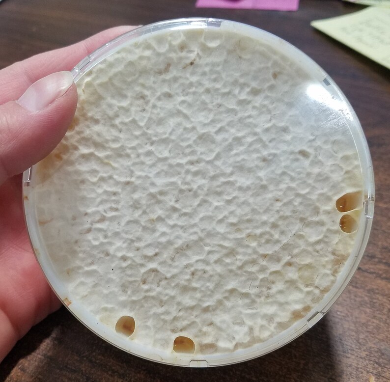Pure Raw Comb Honey Wildflower Ross Round Comb Honey - Etsy