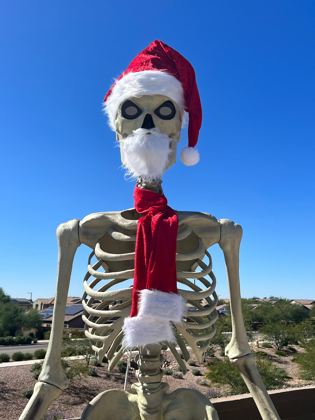 12 Ft Skeleton Santa Hat & Scarf With a Free Beard skeleton - Etsy