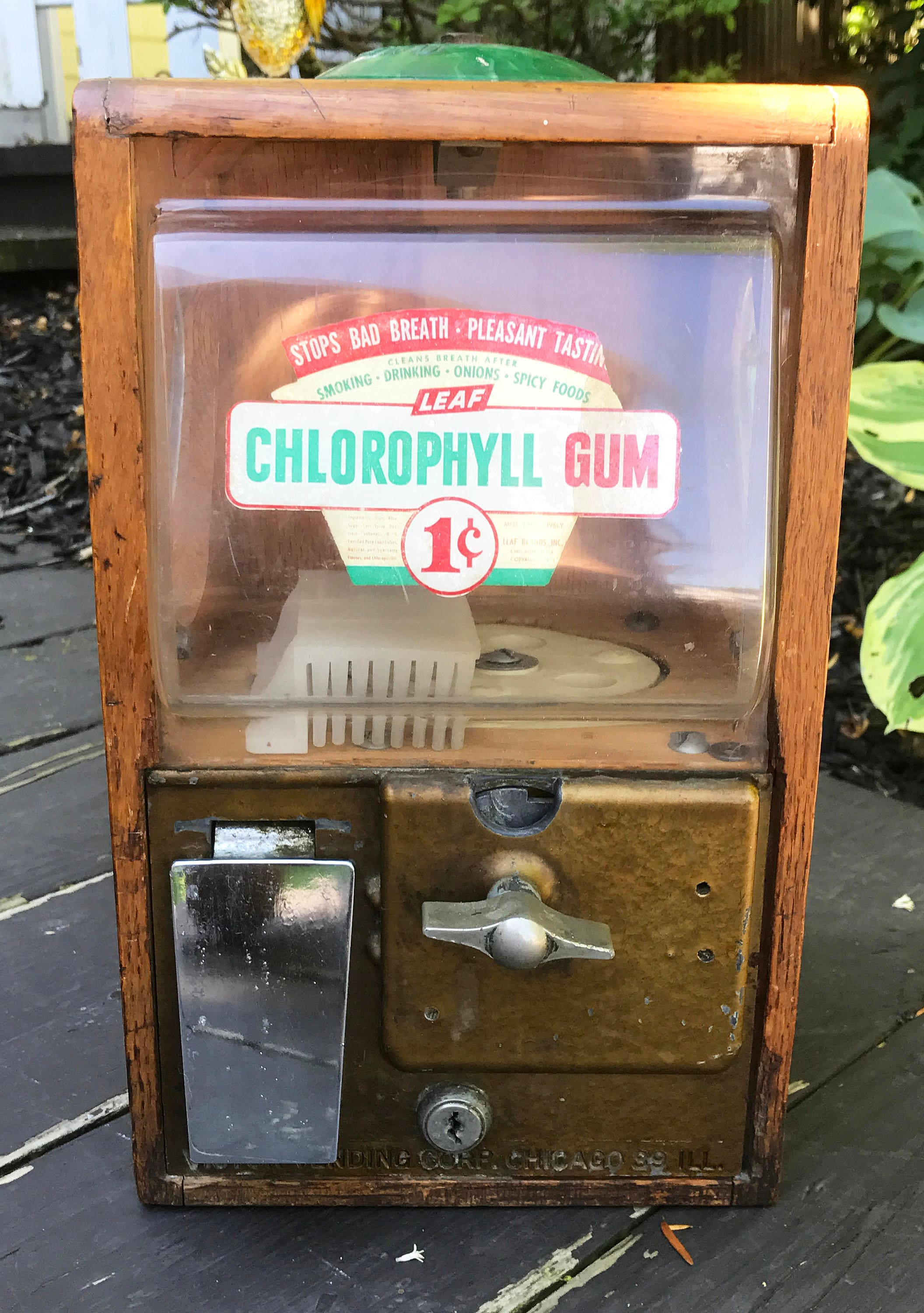 Chlorophyll Gum