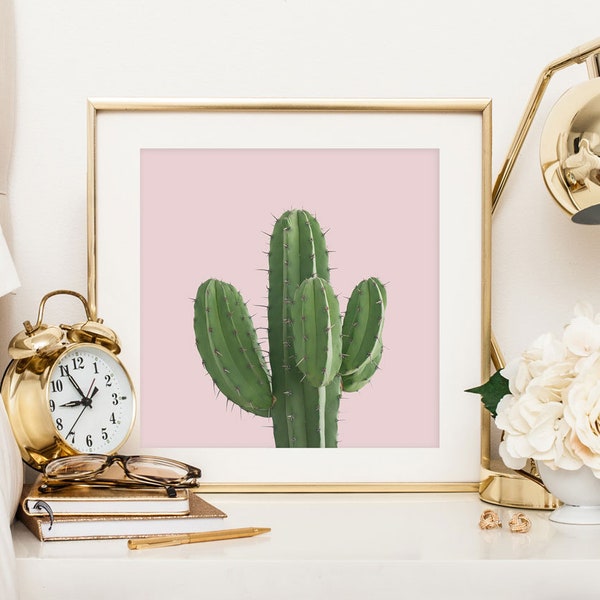 Square Cactus Art - Etsy