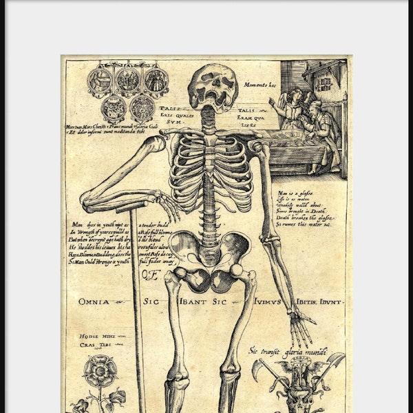Antique Autopsy - Etsy