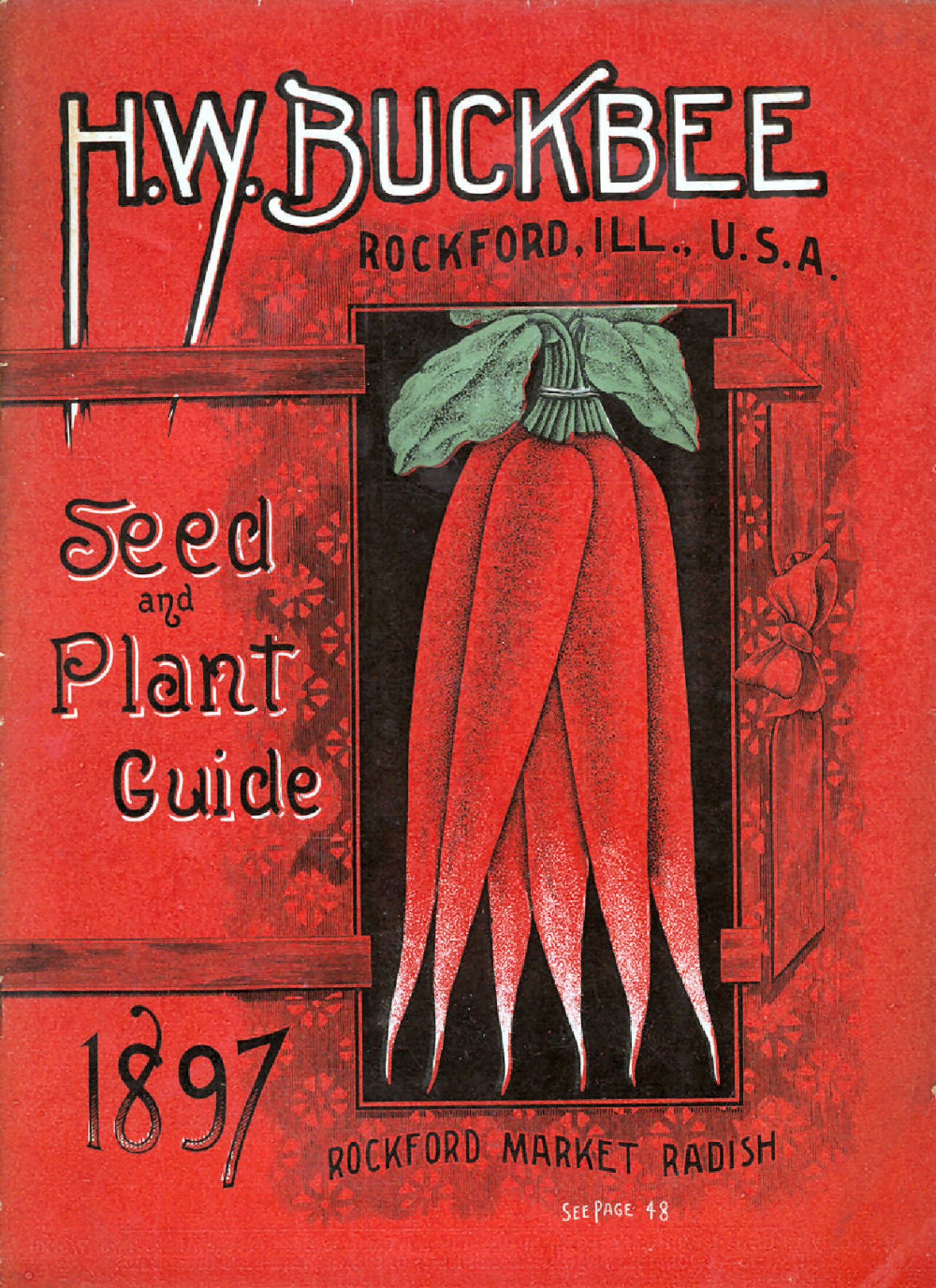 1897 H W BUCKBEE Seed and Plant Guide Catalog NEW Fine Art | Etsy