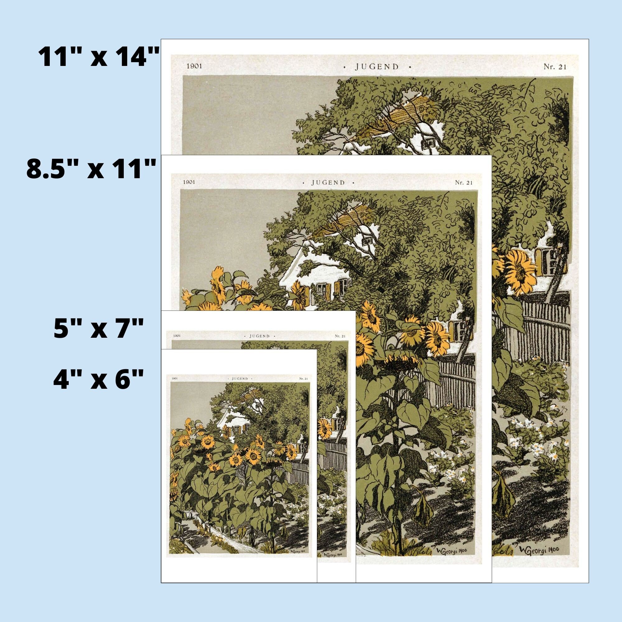 WALTER GEORGI, Sunflower Garden, Art Nouveau, NEW Fine Art Print, 1901 ...