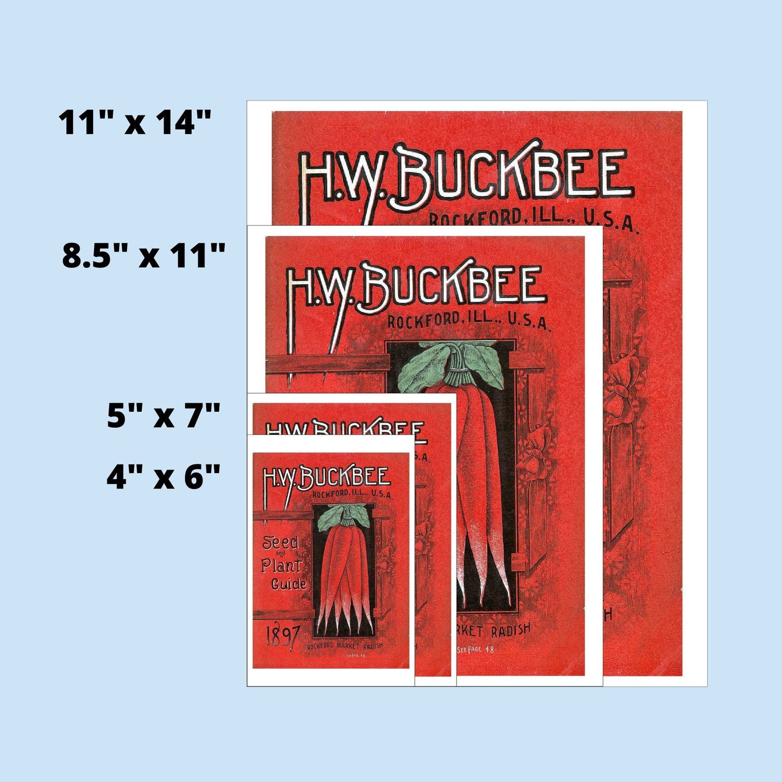 1897 H W BUCKBEE Seed and Plant Guide Catalog NEW Fine Art | Etsy