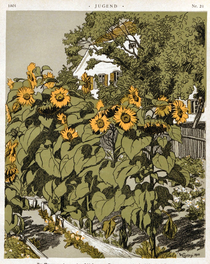 WALTER GEORGI, Sunflower Garden, Art Nouveau, NEW Fine Art Print, 1901 ...