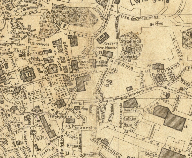 Lwow / Lemberg / Lviv / Leopol Vintage City Map on Paper - Etsy