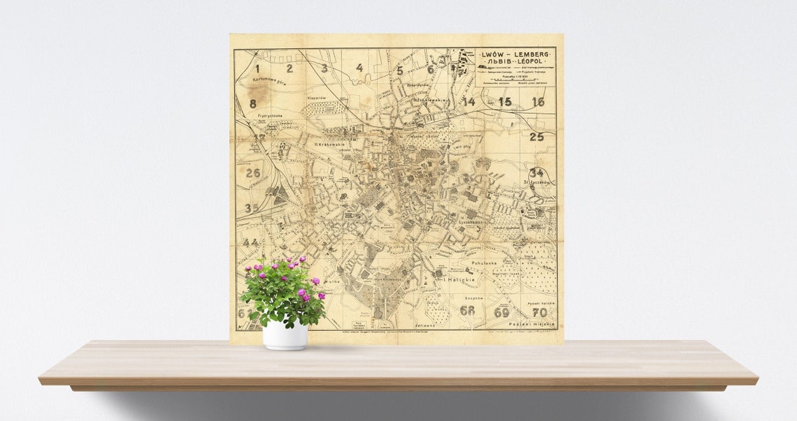 Lwow / Lemberg / Lviv / Leopol Vintage City Map on Paper, Historical ...