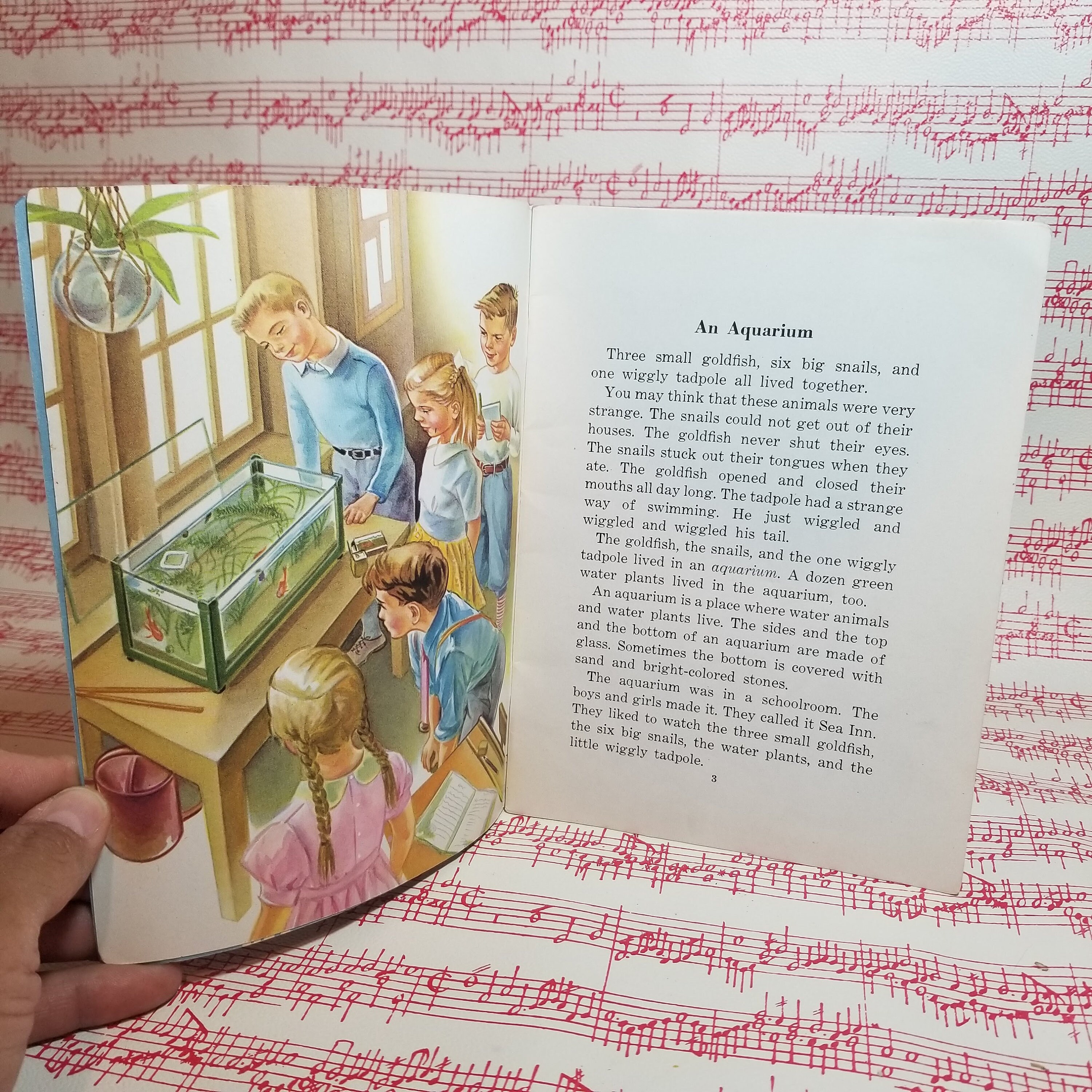 1952 SC An Aquarium The Basic Science Series Glenn O. Brough Beth ...