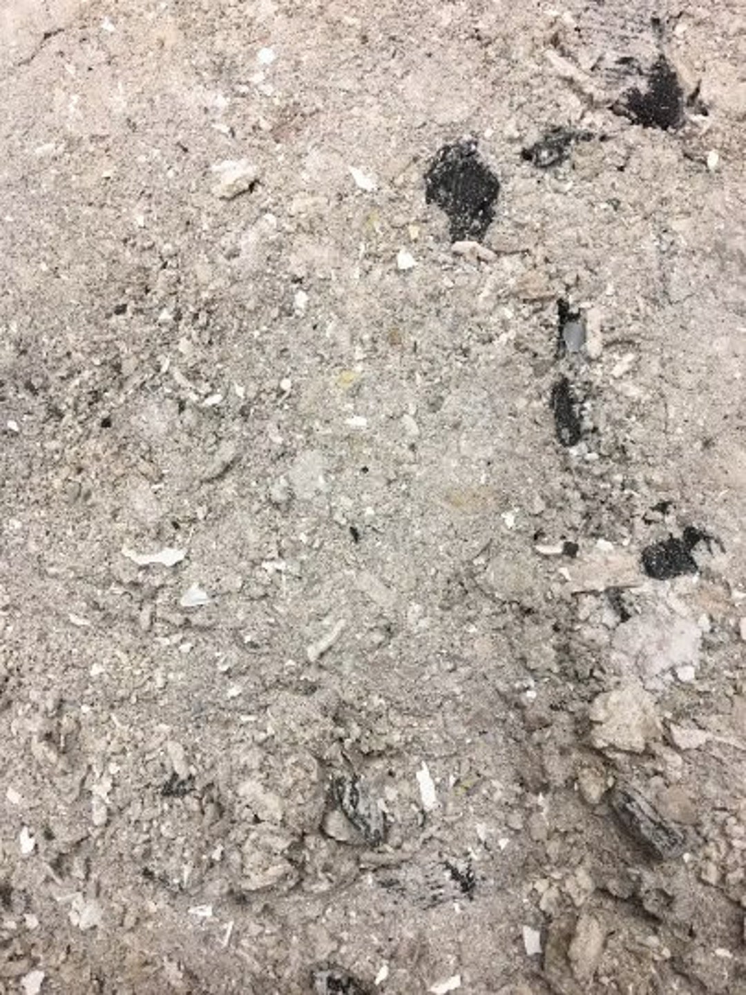 Premium Unsifted Wood Ash - Hardwood Ash, Organic Fertilizer, Lye Soap ...