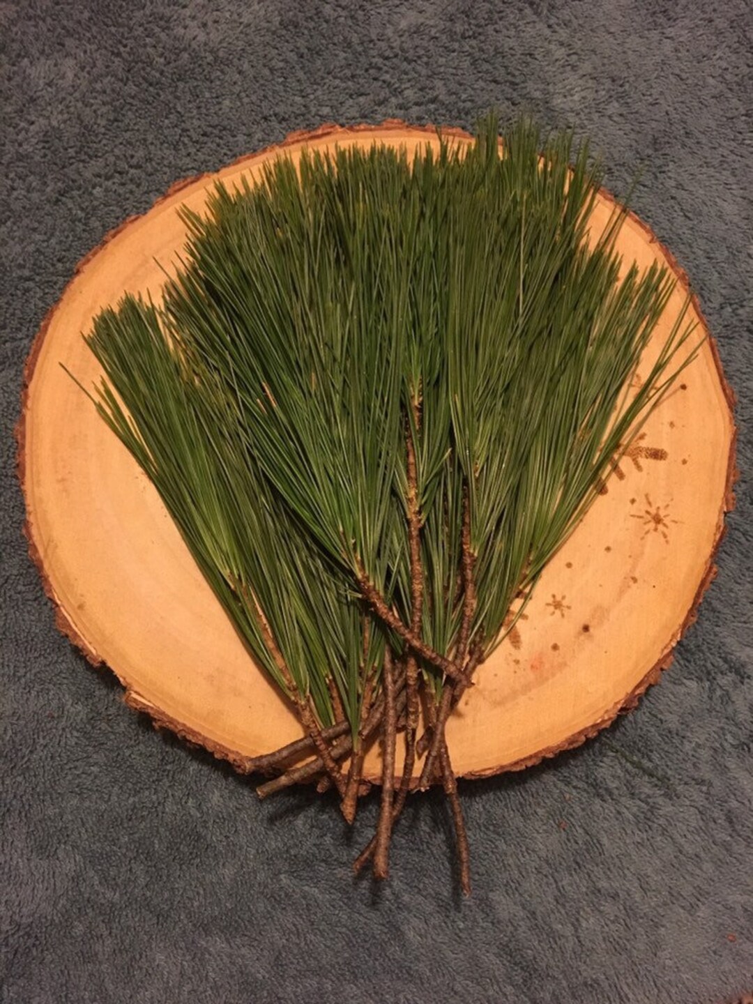 White Pine Tips Eastern White Pine Needles Pine Tips All - Etsy