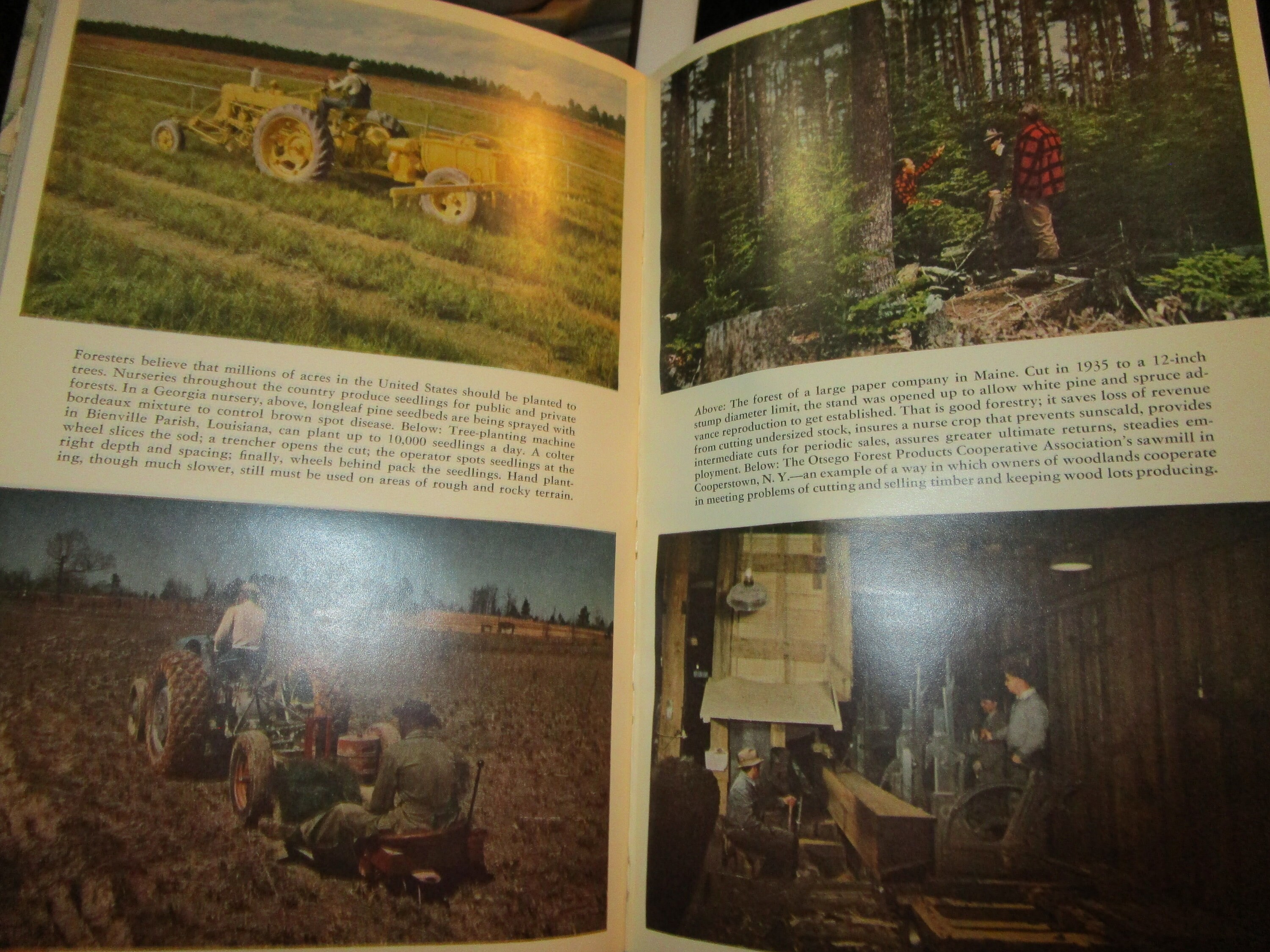 Trees Yearbook Of Agriculture 1949 at Lucas Hampton blog