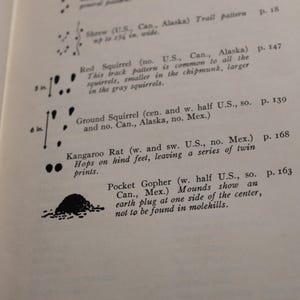 Vintage, 1958, Field Guide to Animal Tracks by Murie, Extensive Guide ...