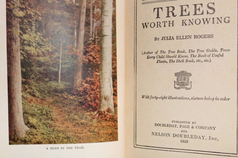 Antique, 1923, Little Nature Library, Trees Worth Knowing, by Julia ...