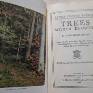 Antique 1923, Little Nature Library, Trees, by Julia Rogers, Tree ...