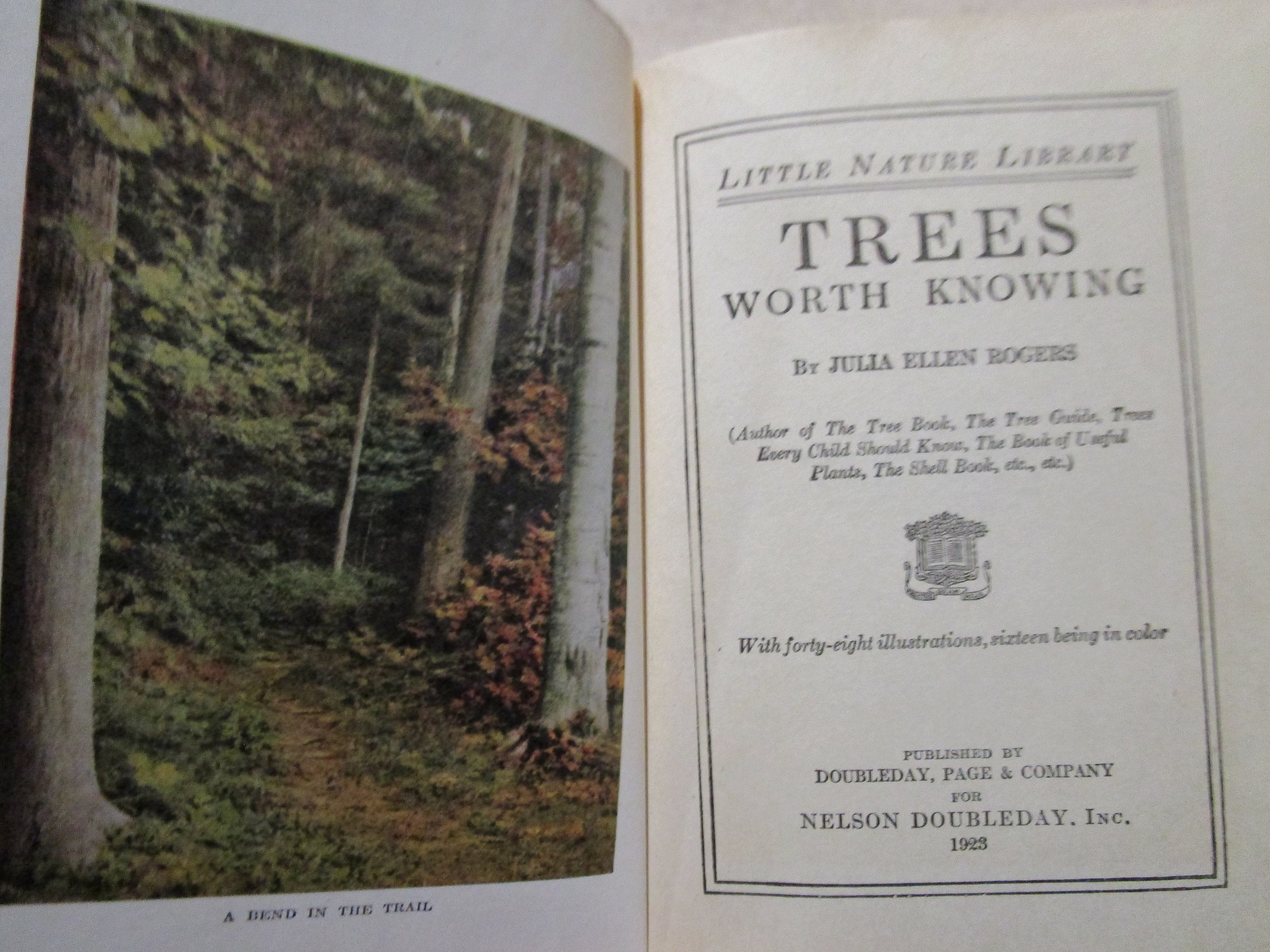 Antique 1923, Little Nature Library, Trees, by Julia Rogers, Tree ...
