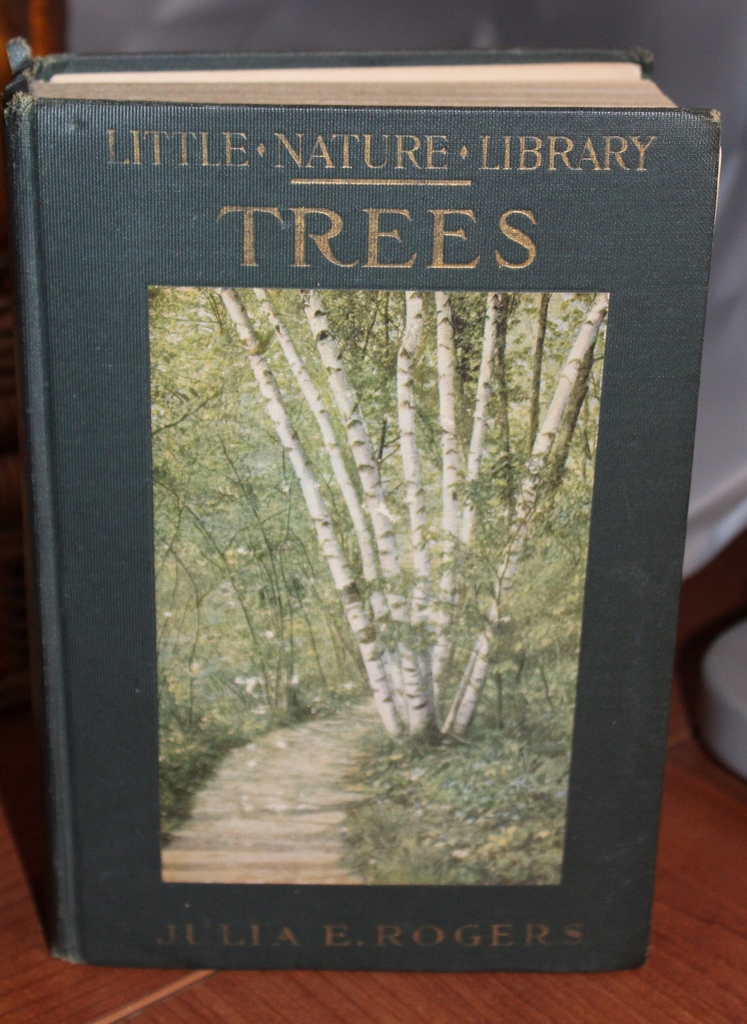 Antique, 1923, Little Nature Library, Trees Worth Knowing, by Julia ...