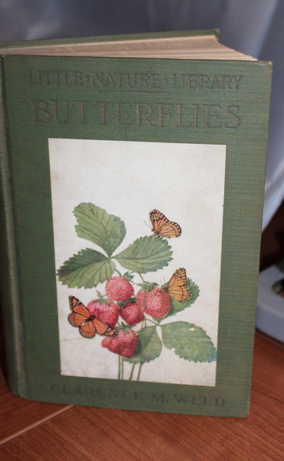 Antique, 1926, Little Nature Library, Butterflies Worth Knowing by ...