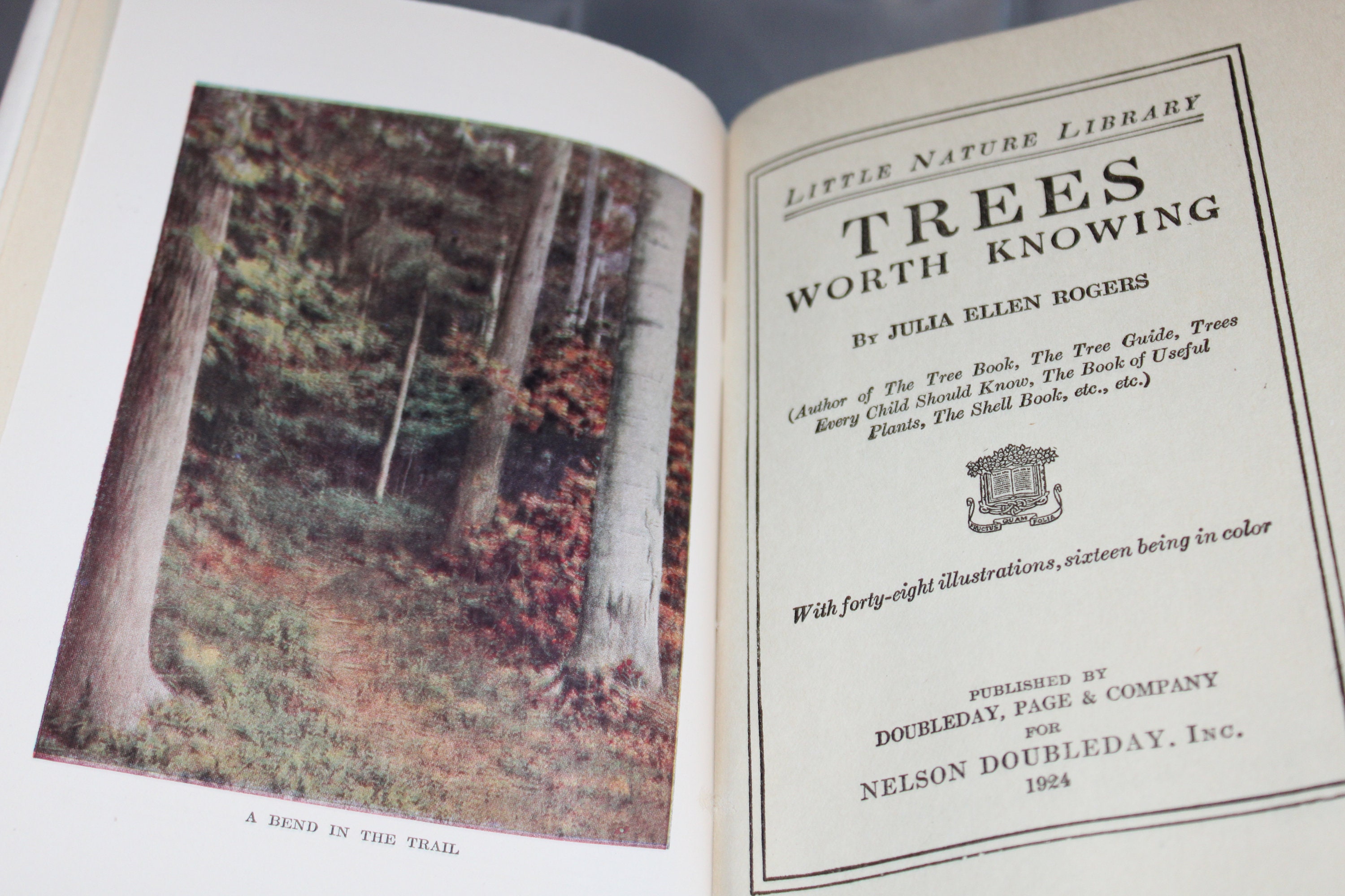 Antique, 1924, Little Nature Library, Trees Worth Knowing, by Julia ...