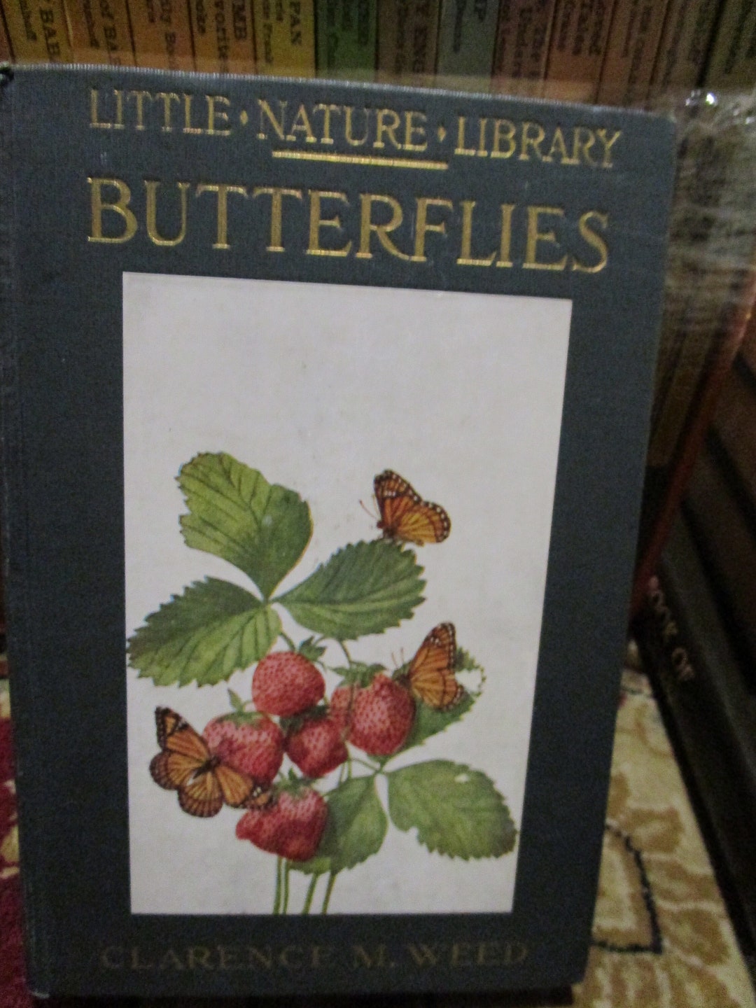Antique 1923, Little Nature Library, Butterflies, Clarence Weed ...