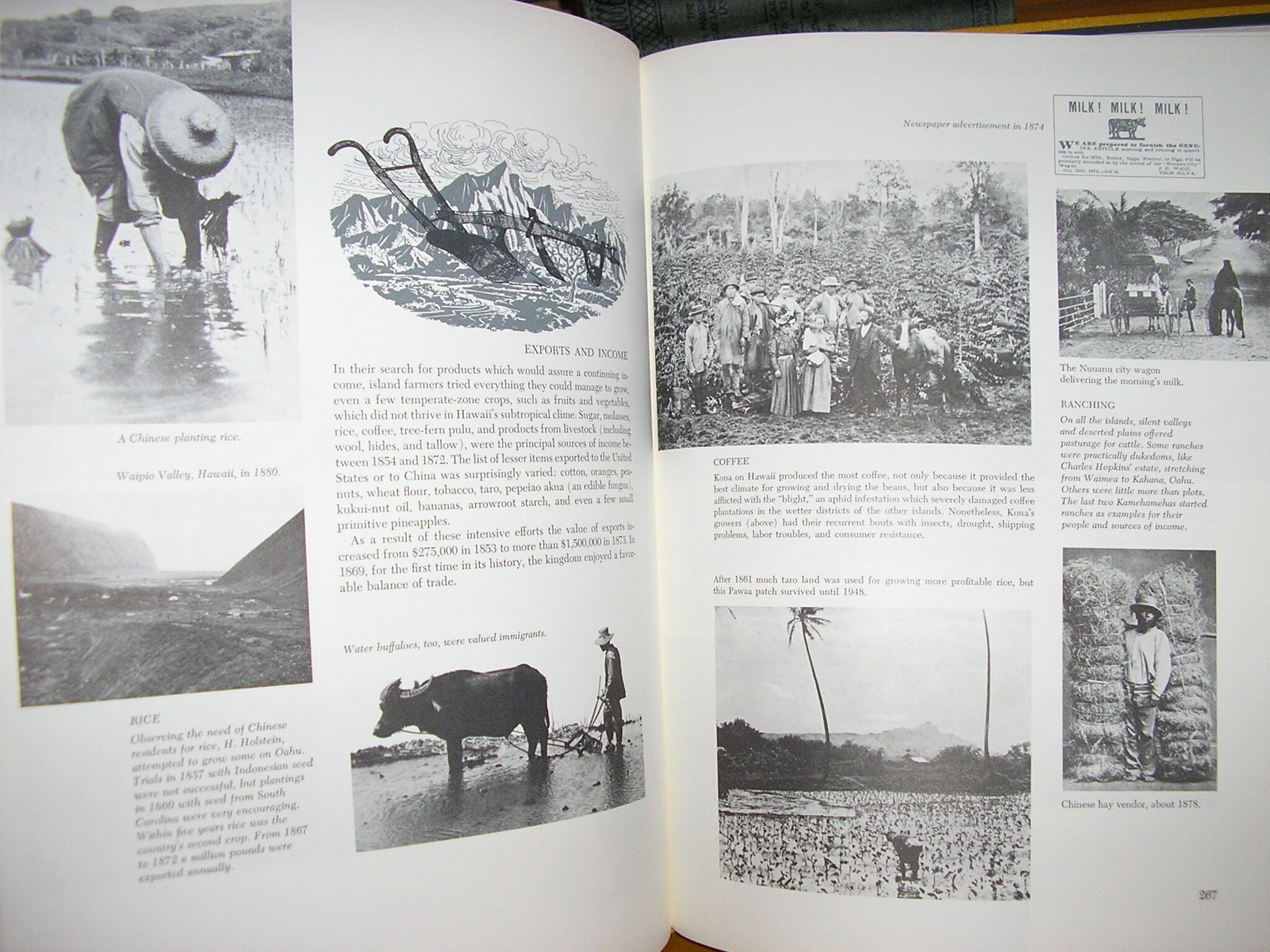 60s Hawaii: A Pictorial History Folio Edition First - Etsy