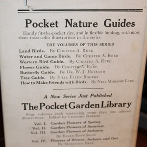 Antique, 1924, Little Nature Library, Trees Worth Knowing, by Julia ...